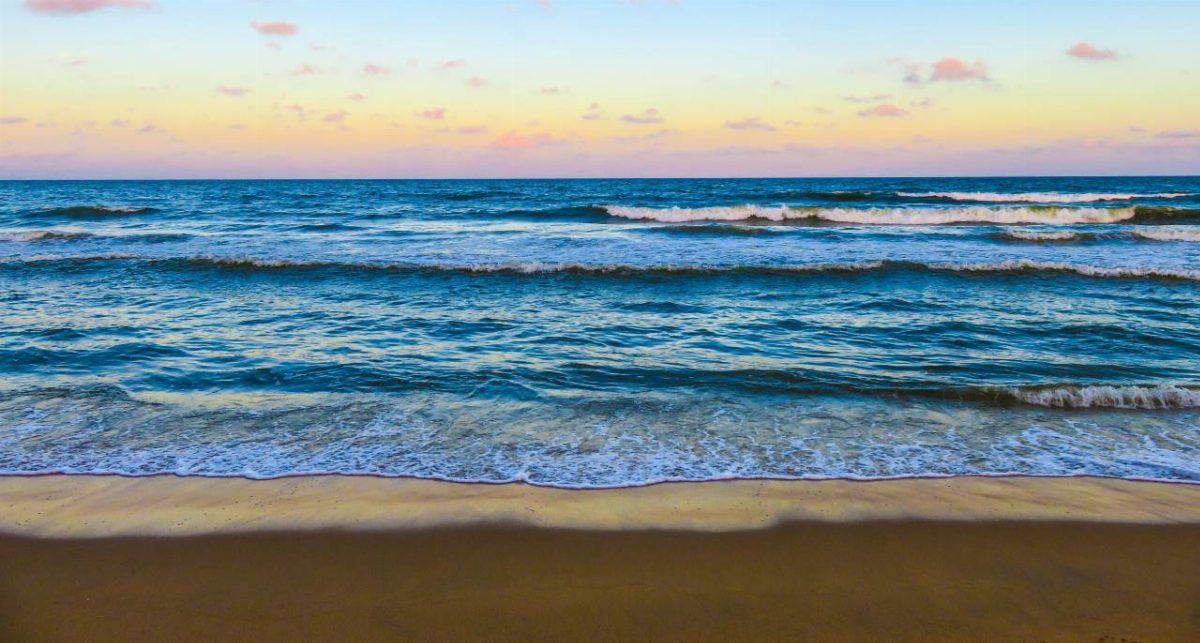 El loco del mar - Patricia Zamorano Granados